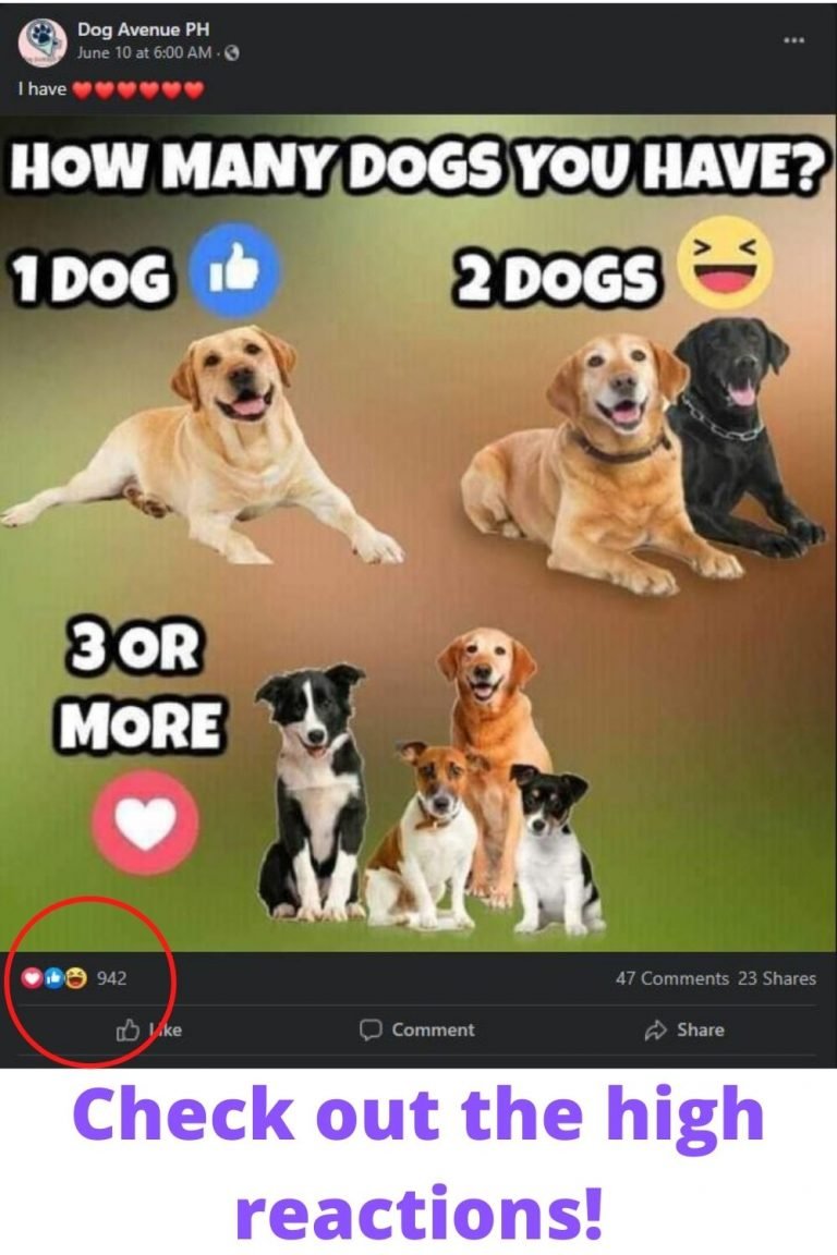 How To Create Engaging Facebook Posts ⋆ Little Biz Resources